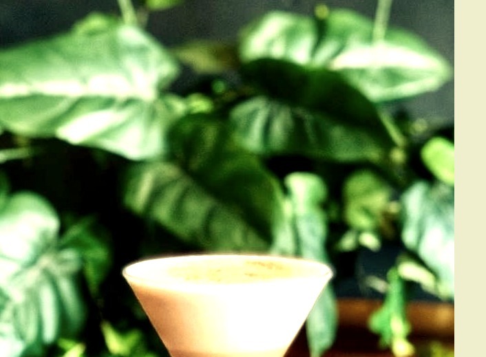 Bushwacker – Cocktail – Nicolas Strappini Art