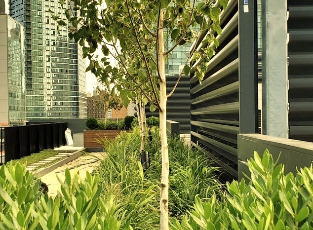 Deck – Rooftop – Master English