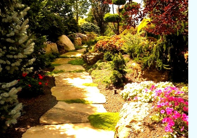 Pathway – Traditional Landscape – Dr Urvashi Gandhi