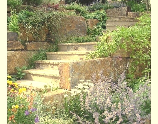 Landscape in Denver – Lissa Humane Life